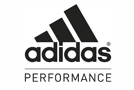 Ανδρικά καπιτονέ μπουφάν adidas Performance | 20 προϊόντα - GLAMI.gr
